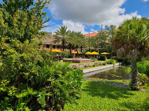 Reasons to Eat at Ulele in Tampa | Tampa Restaurants