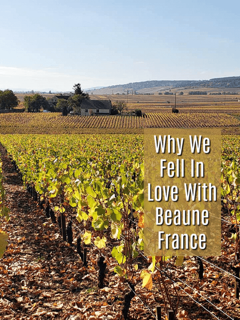 Why We Fell In Love With Beaune France | Beaune Burgundy Tourism