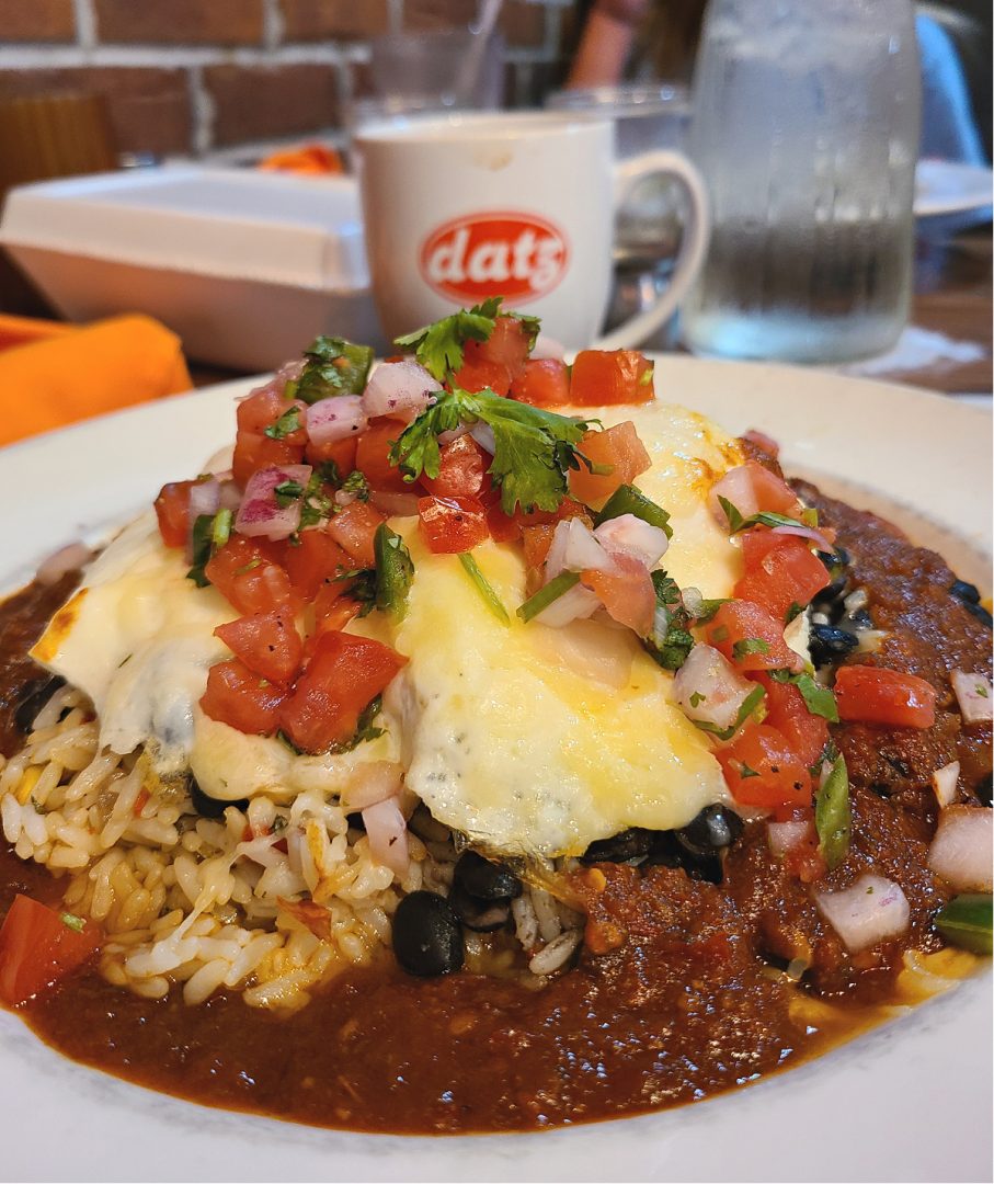 Best Tampa Staycation Ideas For Families | Visit Tampa Bay