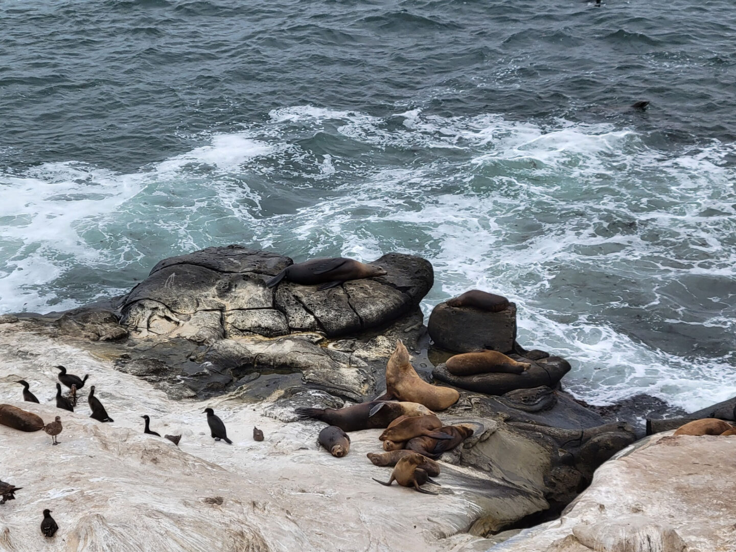 15 Top Things To Do In San Diego