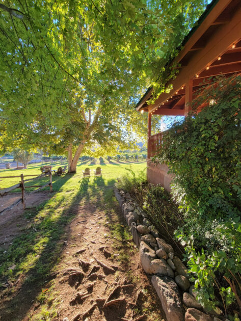 How To Plan The Perfect Trip To Sedona | Where to Eat | Where To Stay ...