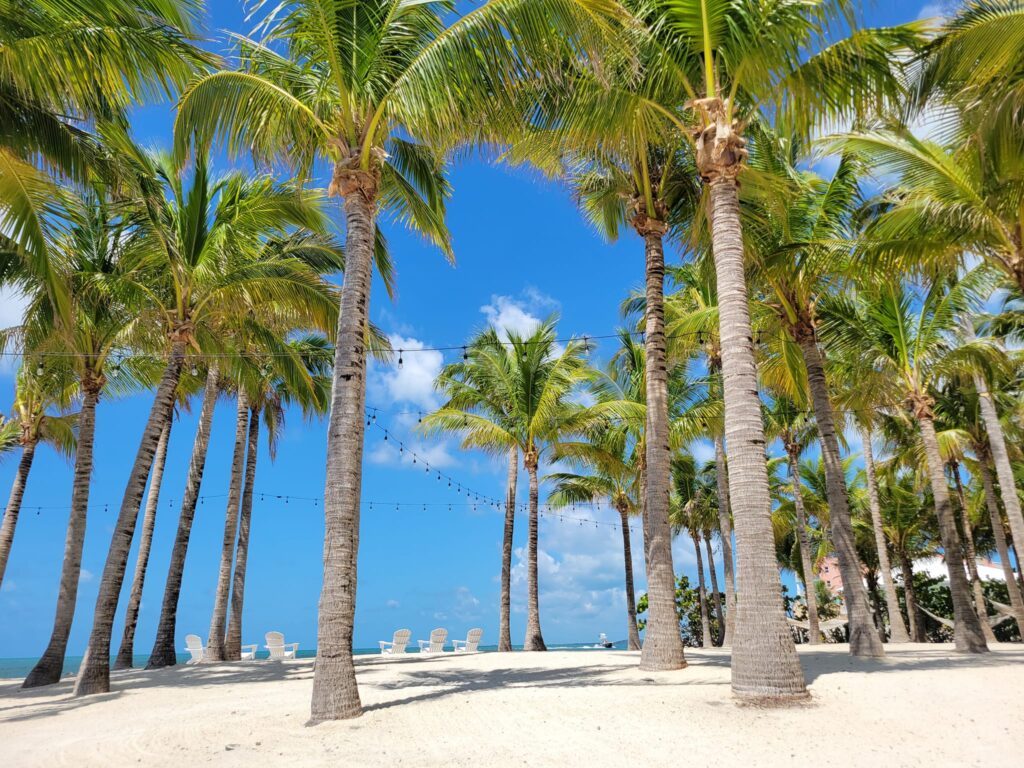 Isla Bella Beach Resort: Best Luxury Stay on Marathon Key, Florida Keys